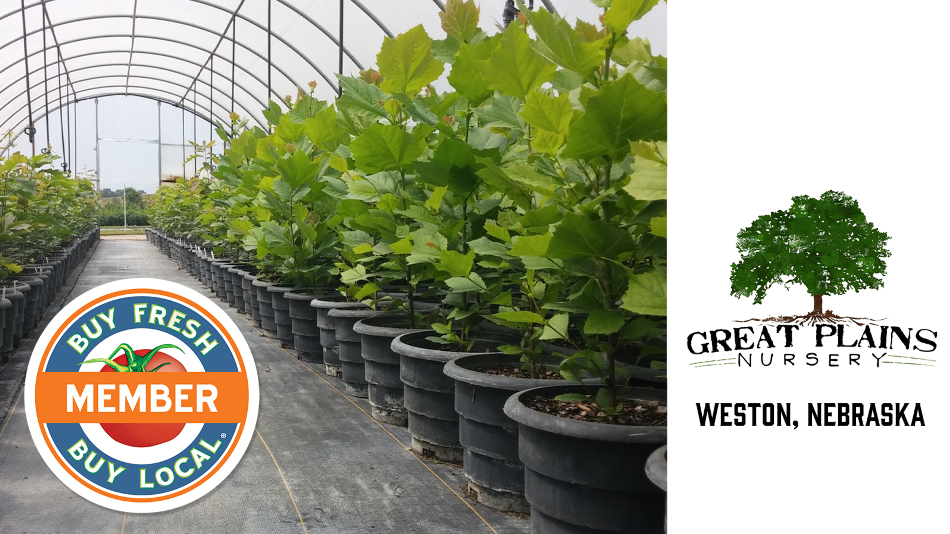 Member Spotlight: Great Plains Nursery | Buy Fresh Buy Local® Nebraska ...