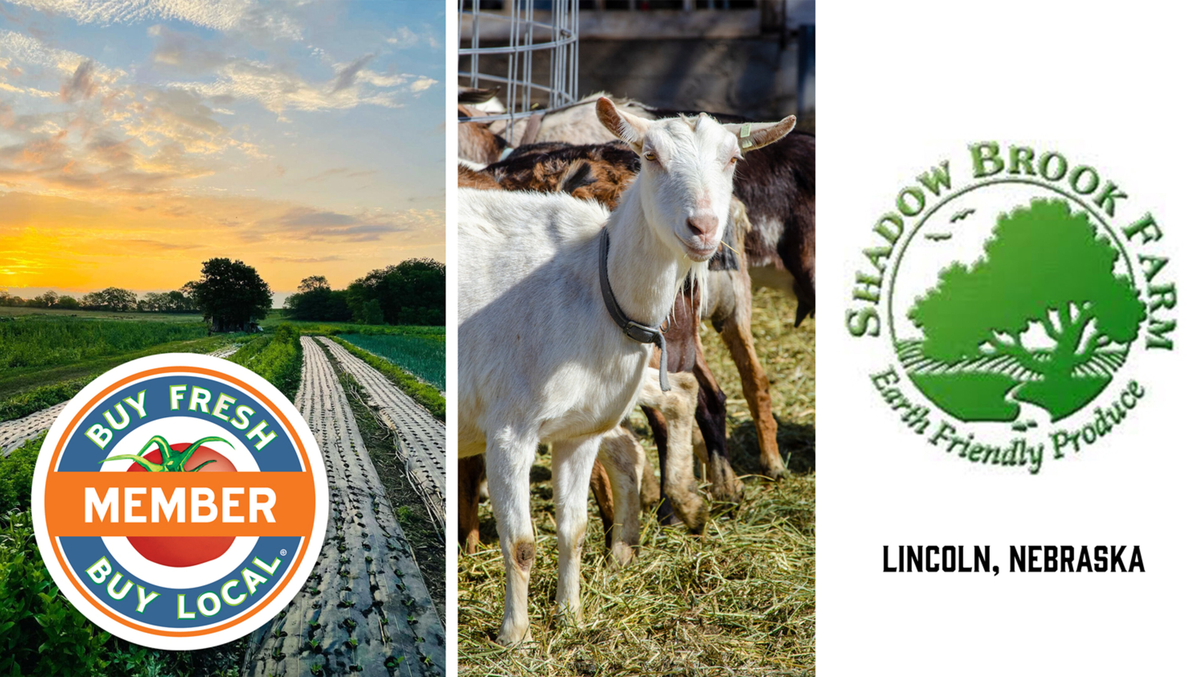 Member Spotlight: ShadowBrook Farm & Dutch Girl Creamery | Buy Fresh ...